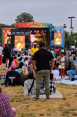 THE ROOTS PICNIC - Updated August 2025 - 27 Photos & 11 Reviews ...