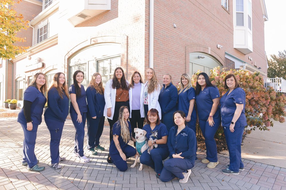 BUTLER VETERINARY HOSPITAL - Updated December 2025 - 11 Photos & 14 ...