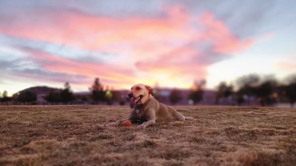 RED RIDGE PARK - Updated August 2025 - 512 Photos & 63 Reviews - 7027 S ...