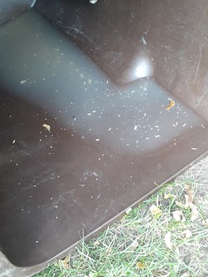 WHITETAIL DISPOSAL - Updated January 2026 - 28 Photos & 357 Reviews ...