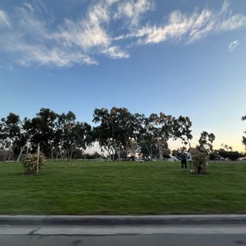 MORLEY FIELD SPORTS COMPLEX - Updated December 2025 - 347 Photos & 29 ...