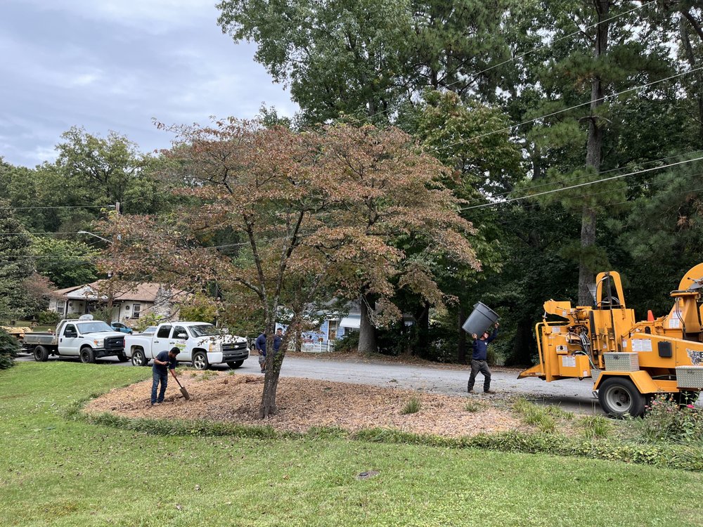 3-G TREES - Updated January 2026 - 59 Photos & 16 Verified Reviews ...