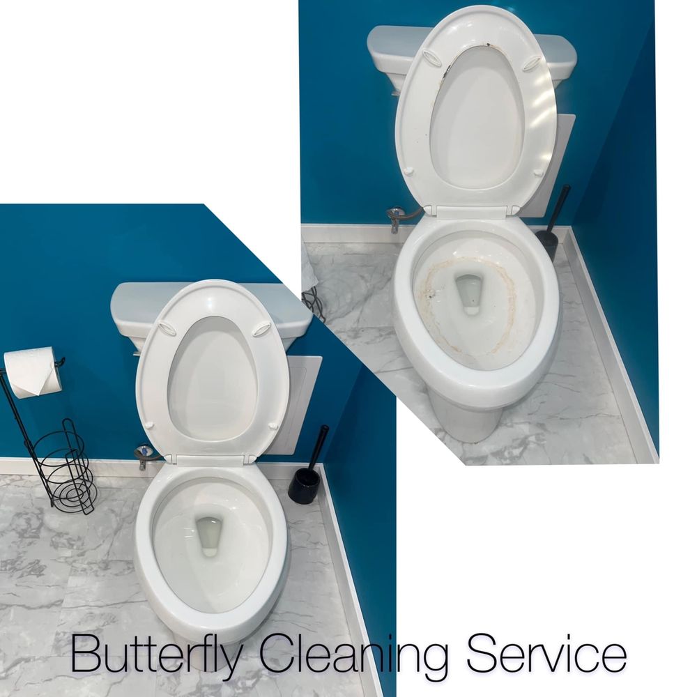 BUTTERFLY CLEANING SERVICE - Updated December 2024 - Request a Quote ...
