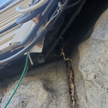 BIGGINS EXTERMINATING COMPANY - Updated October 2025 - 58 Photos & 122 ...