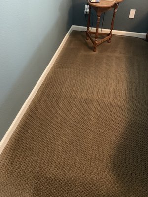 WORLD CLASS CARPET CLEANING - Updated December 2024 - 196 Photos & 477 ...