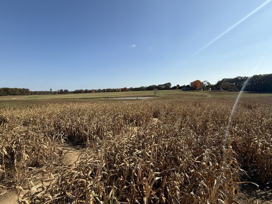 BOWLES FARM - Updated December 2025 - 62 Photos & 13 Reviews - 22880 ...