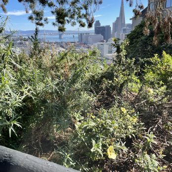 INA COOLBRITH PARK - Updated August 2024 - 355 Photos & 87 Reviews ...