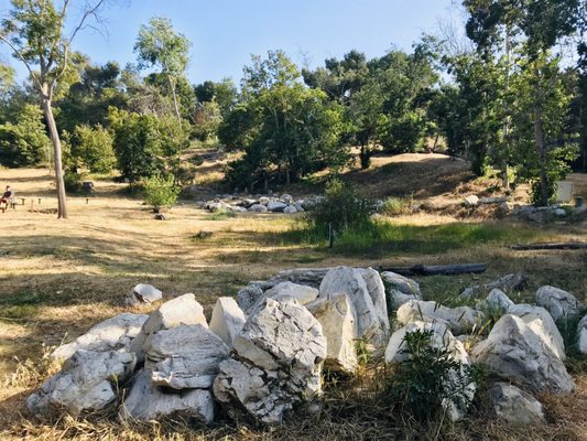 HOPKINS WILDERNESS PARK - 259 Photos & 96 Reviews - 1102 Camino Real ...