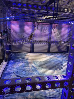 THRILLZ HIGH FLYING ADVENTURE PARK - Updated December 2025 - 56 Photos ...