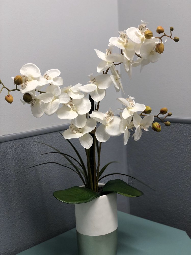 THE FLOAT SPOT - 60 Photos & 95 Reviews - 4040 Legacy Dr, Frisco, Texas ...