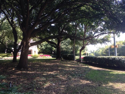 THE FAIRWAYS OF BENT TREE - Updated September 2025 - 15905 Bent Tree ...