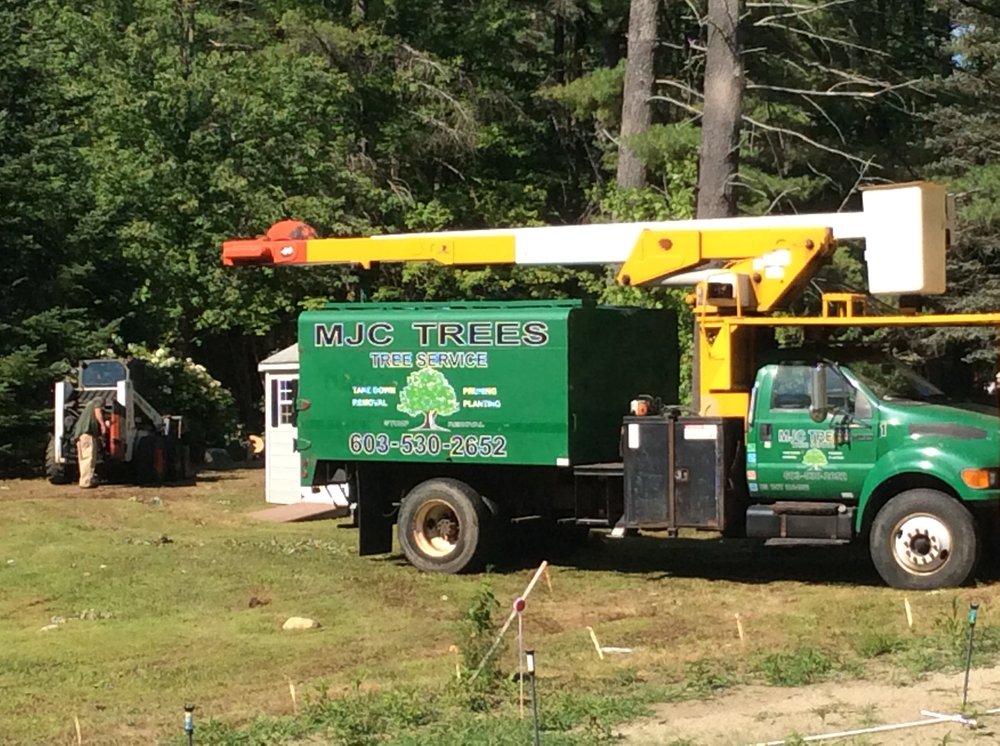 MJC TREES - Updated August 2024 - Bristol, New Hampshire - Tree ...