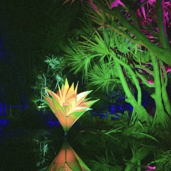 LIGHTSCAPE SAN DIEGO - Updated November 2024 - 189 Photos & 38 Reviews ...