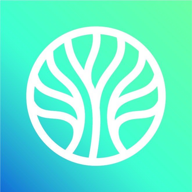 CAROLINA VEIN CARE AND AESTHETICS - Updated February 2025 - 2817 ...