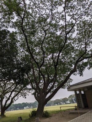 CLARK PARADE GROUNDS - Updated August 2024 - Clark Freeport Zone ...