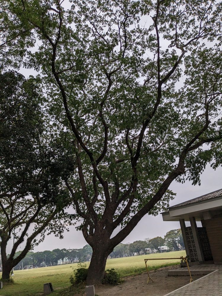 CLARK PARADE GROUNDS - Updated August 2024 - Clark Freeport Zone ...