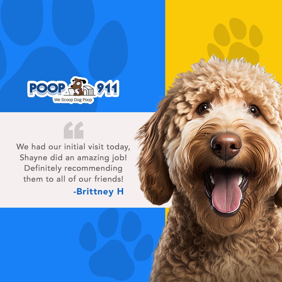 POOP 911 - Richmond - Same Day Service Available - Updated April 2025 ...