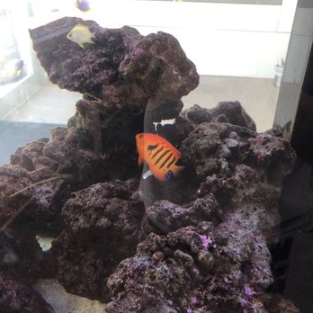 APACHE JUNCTION PUBLIC LIBRARY - Updated December 2025 - 26 Photos & 21 ...