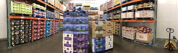 COSTCO WHOLESALE - 444 Photos & 217 Reviews - Wholesale Stores - 3250 W ...