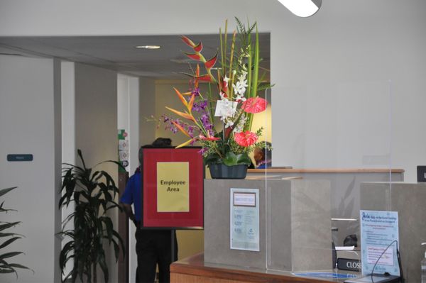 ALOHA PACIFIC FEDERAL CREDIT UNION - Updated December 2025 - 10 Photos ...