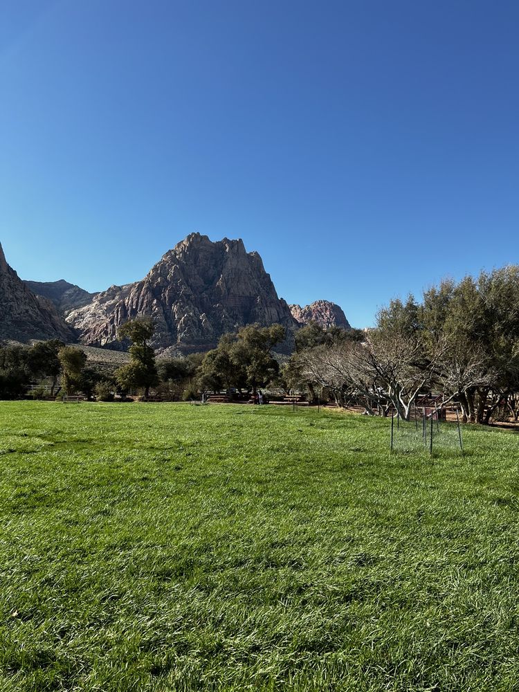 SPRING MOUNTAIN RANCH STATE PARK - 961 Photos & 129 Reviews - 6375 Hwy ...
