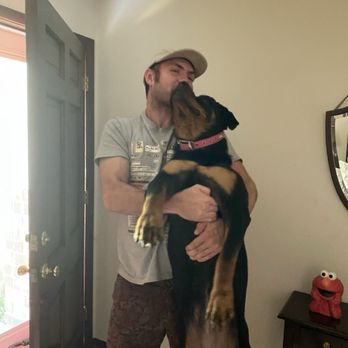 VETERINARY EMERGENCY GROUP - Updated February 2026 - 31 Photos & 15 ...