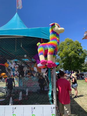 DIXON MAY FAIR - Updated April 2026 - 187 Photos & 31 Reviews - 655 S ...
