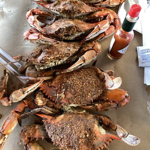 NICKS FISH HOUSE - 1414 Photos & 984 Reviews - 2600 Insulator Dr ...