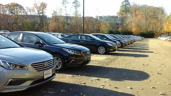 AUCTION DIRECT USA - RALEIGH - Updated October 2025 - 47 Photos & 112 ...