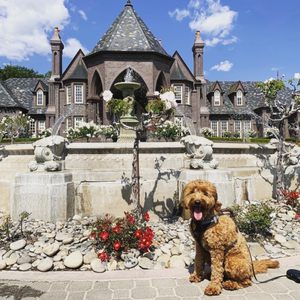 LEDSON WINERY & VINEYARDS - 689 Photos & 572 Reviews - 7335 Hwy 12 ...