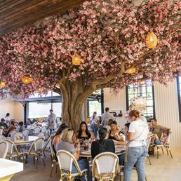 COCINA 35 - Updated January 2026 - 1468 Photos & 706 Reviews - 2750 ...