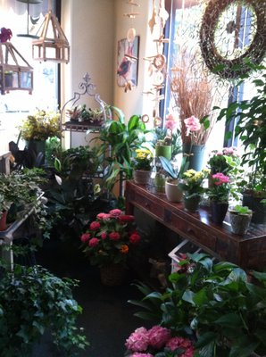 BRYN MAWR FLOWER SHOP - Updated January 2025 - 13 Photos & 24 Reviews ...
