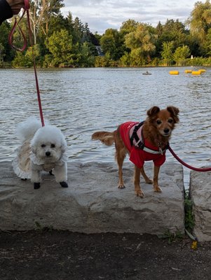 TOOGOOD POND - Updated December 2025 - 155 Photos & 40 Reviews - 280 ...