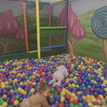 KIDS EMPIRE MIDVALE - Updated January 2026 - 84 Photos & 53 Reviews ...