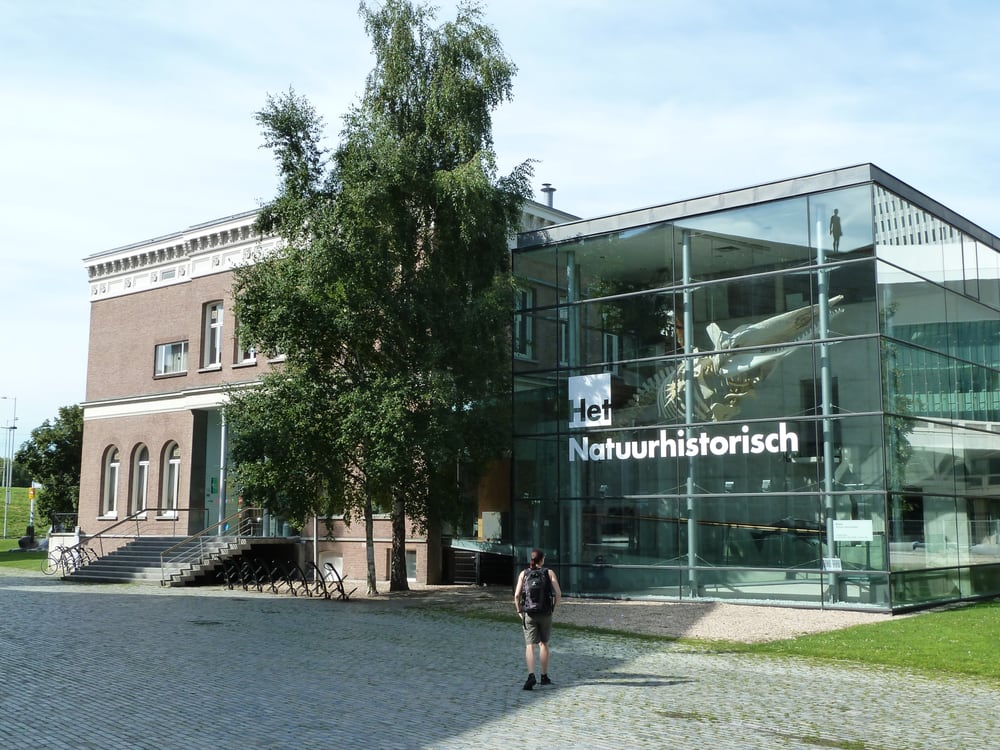 NATUURHISTORISCH MUSEUM ROTTERDAM - Westzeedijk 345, Rotterdam, Zuid ...