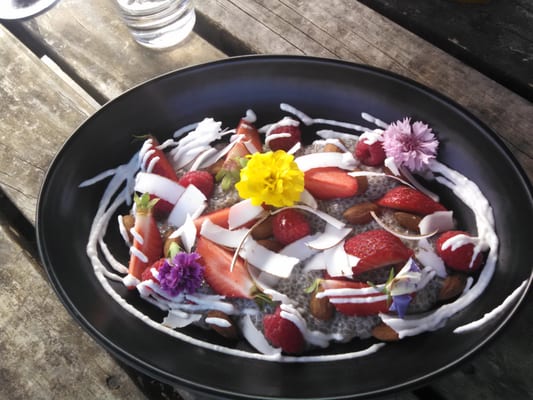 PUNNET - Updated May 2025 - 13 Photos - 337 Newell Rd, Tamahere ...