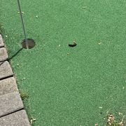 CAMERON RUN REGIONAL PARK - 120 Photos & 53 Reviews - 4001 Eisenhower ...