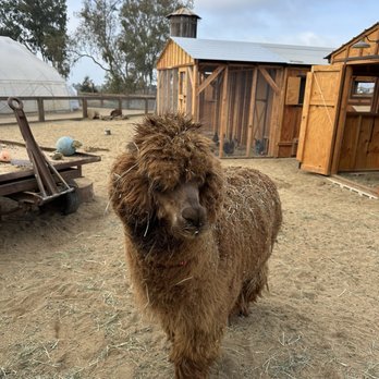 FOX POINT FARMS - Updated May 2025 - 324 Photos & 116 Reviews - 1150 ...