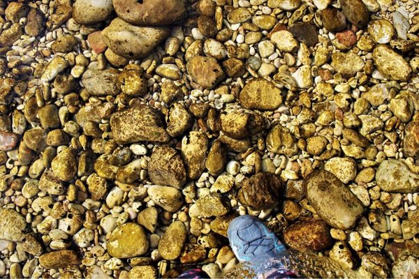 CHALK BLUFF RIVER RESORT - Updated November 2025 - 108 Photos & 62 ...