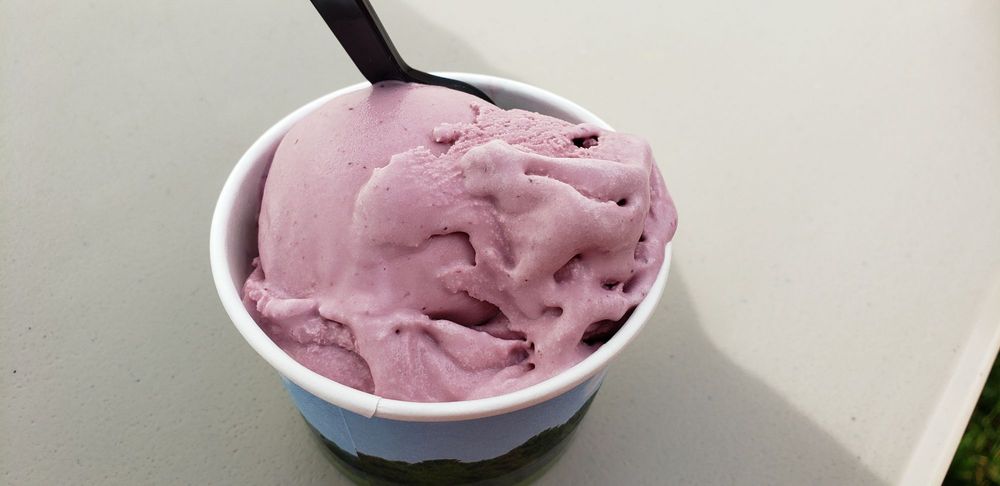 HOMESTEAD CREAMERY - Updated August 2024 - 58 Photos & 101 Reviews ...