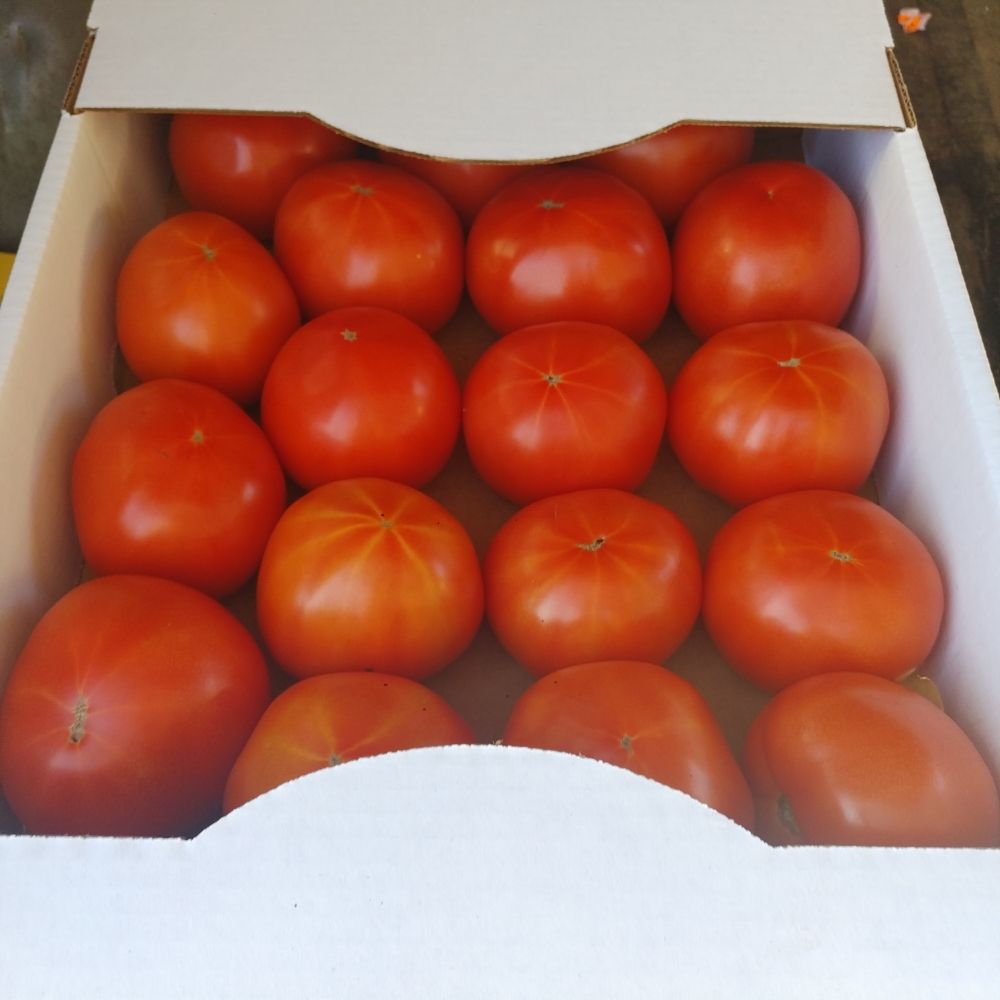 HICKS FARM FRESH PRODUCE AND FLOWERS - Updated November 2025 - 15 ...