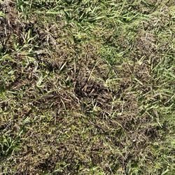 ARTISTREE LANDSCAPE MAINTENANCE & DESIGN - 31 Photos & 12 Reviews ...