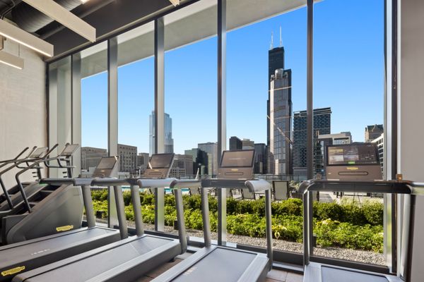 THE REED - Updated April 2024 - 48 Photos - 234 W Polk St, Chicago ...