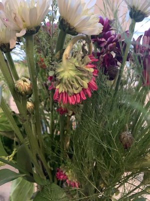 FLOWERAMA MOBILE - Updated December 2024 - 25 Photos & 15 Reviews ...