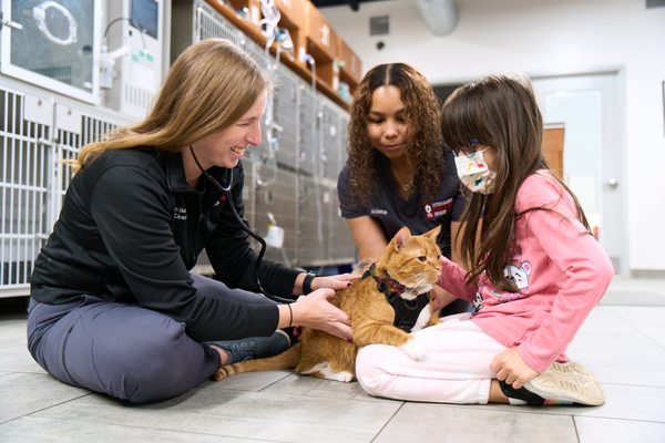 VETERINARY EMERGENCY GROUP - Updated December 2024 - 42 Photos & 48 ...