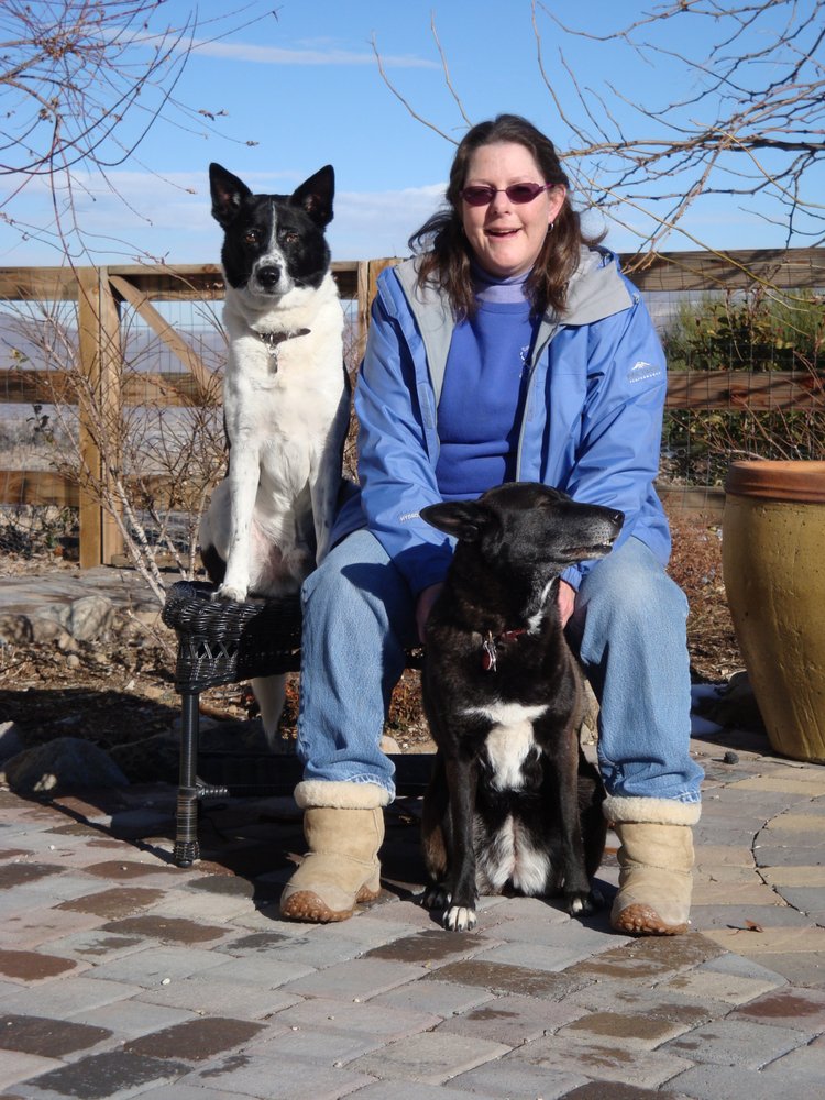 K9 BNB - Updated March 2026 - 30 Photos & 11 Reviews - 2300 Crossover ...