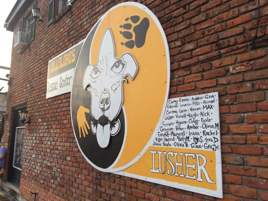 VILLALOBOS RESCUE CENTER - Updated September 2025 - 82 Photos & 80 ...