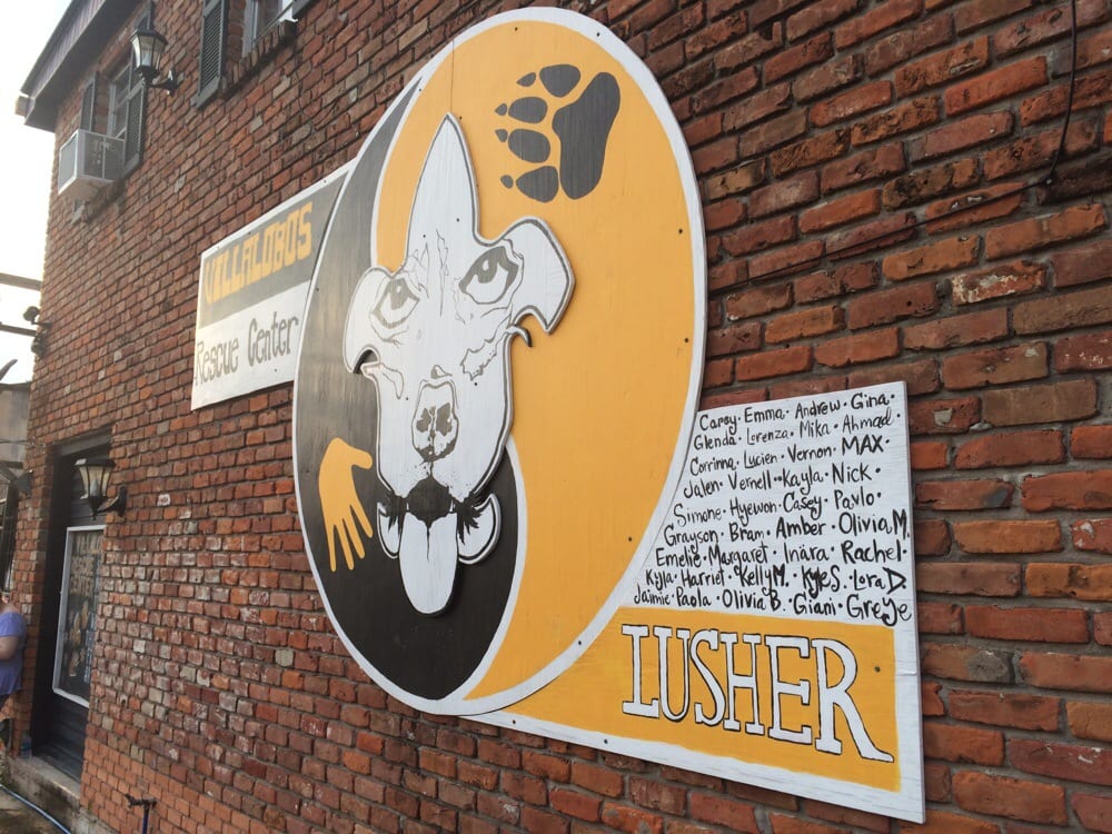 VILLALOBOS RESCUE CENTER - Updated January 2026 - 82 Photos & 84 ...