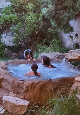 UNIVERSAL ROCKS - Updated May 2025 - 60 Photos - 825 Shepherd Dr ...