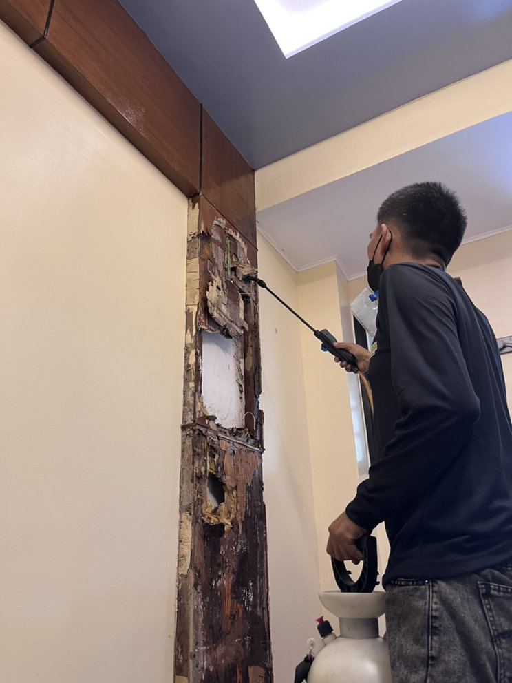 JDLO PEST CONTROL - Cavite City, Cavite, Philippines - Building ...